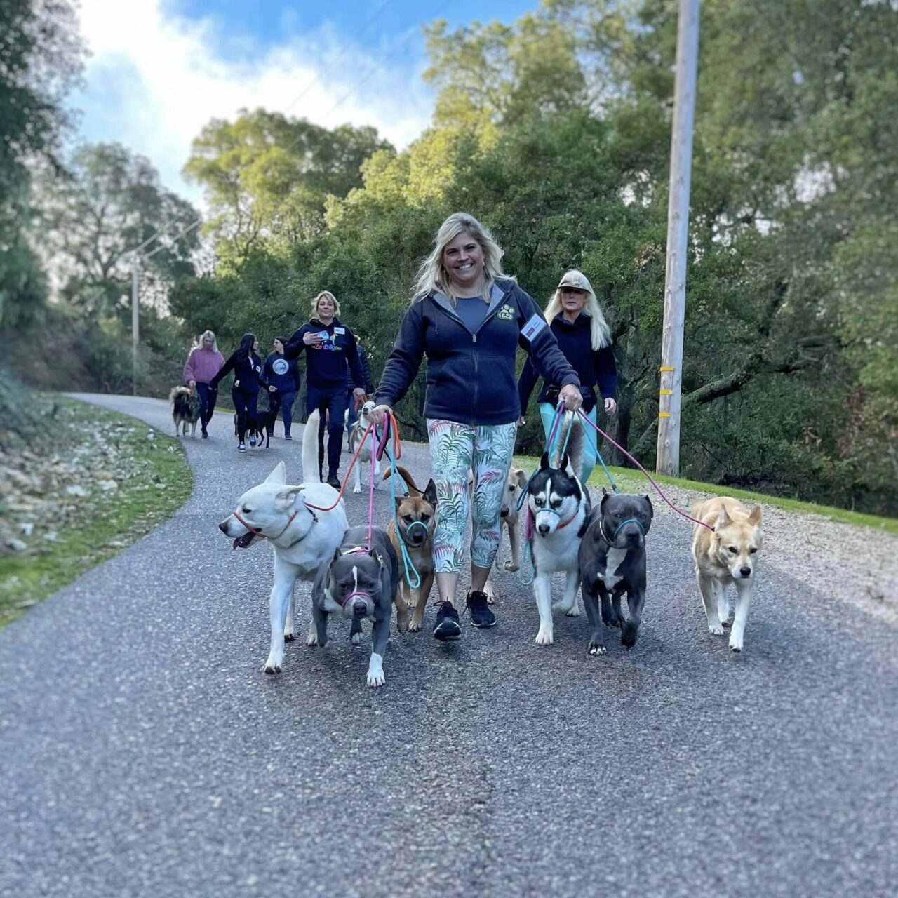 Discover Harmony and Balance: Unveiling the Essence of Zen Dog Den ...